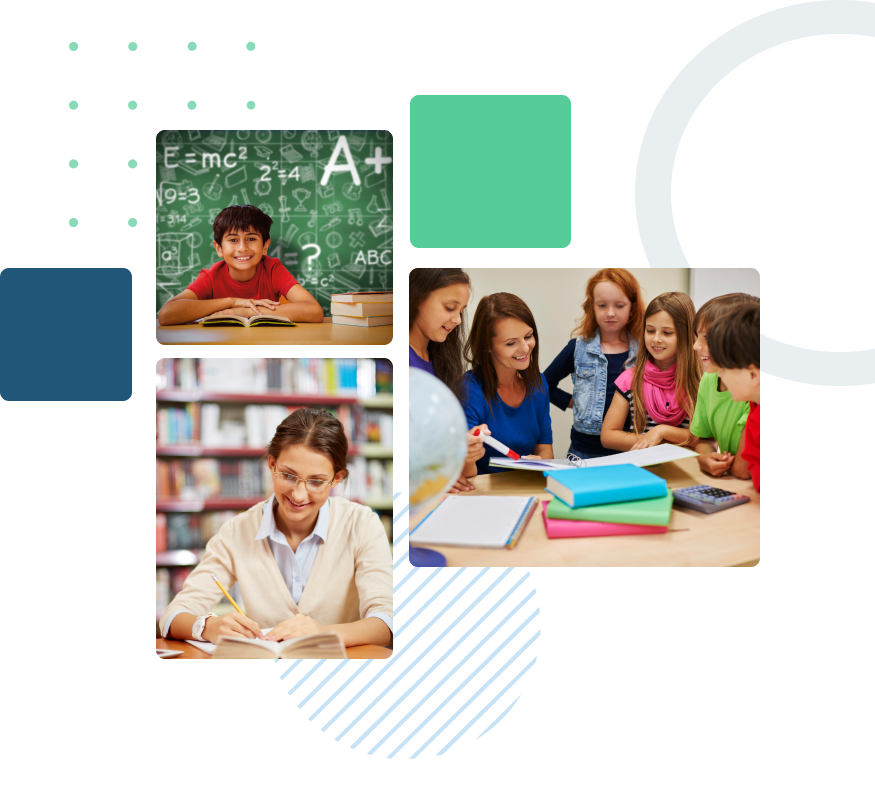 Knowledge Nest - School Management System